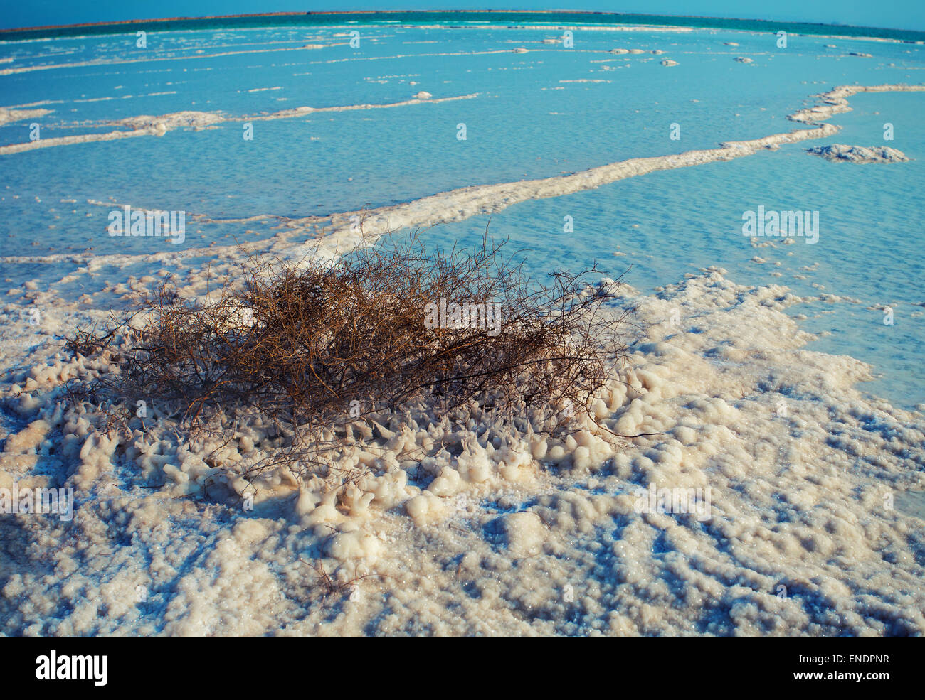 Salt shore hi-res stock photography and images - Alamy