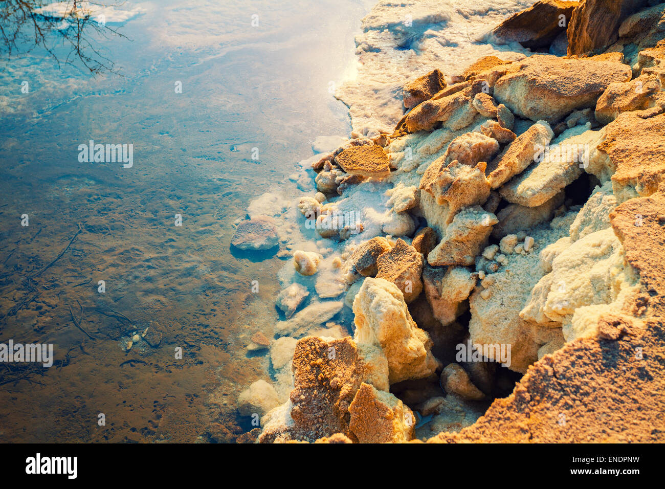 Dead sea salt shore Stock Photo - Alamy
