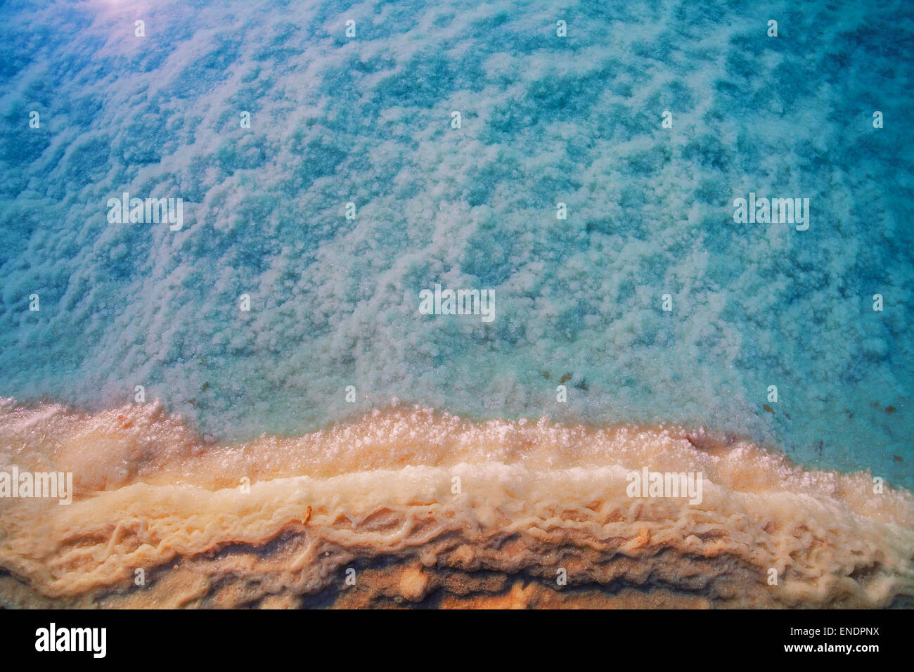 Natural background Dead sea salt shore Stock Photo - Alamy