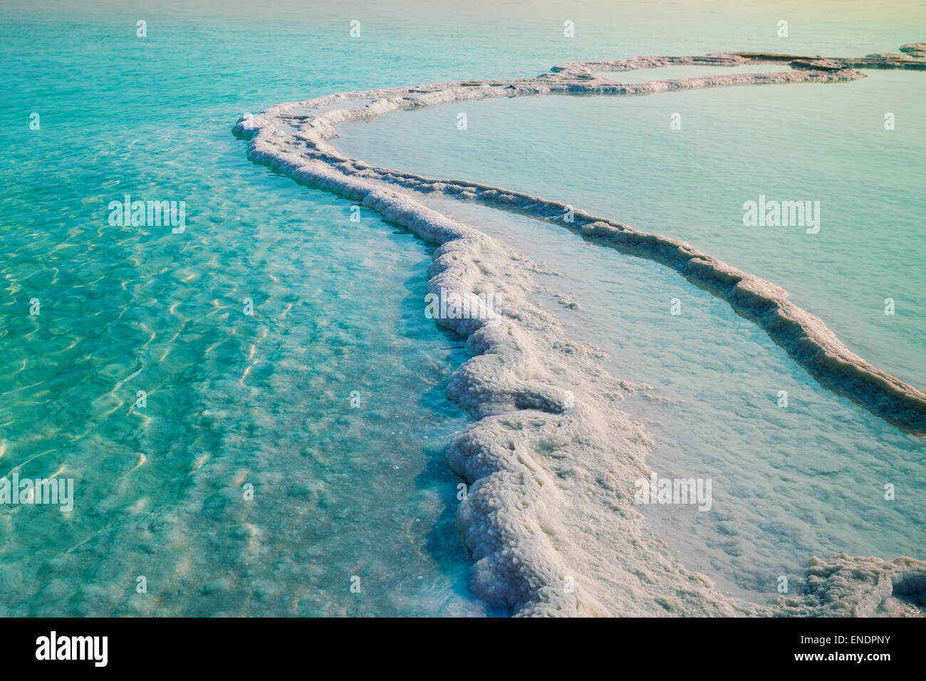 Dead sea salt shore Stock Photo - Alamy