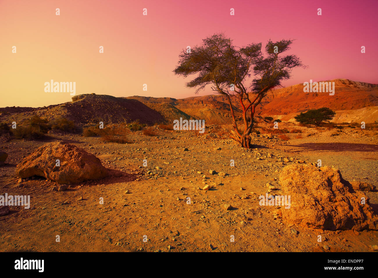 Sunrise over desert in Israel Stock Photo - Alamy