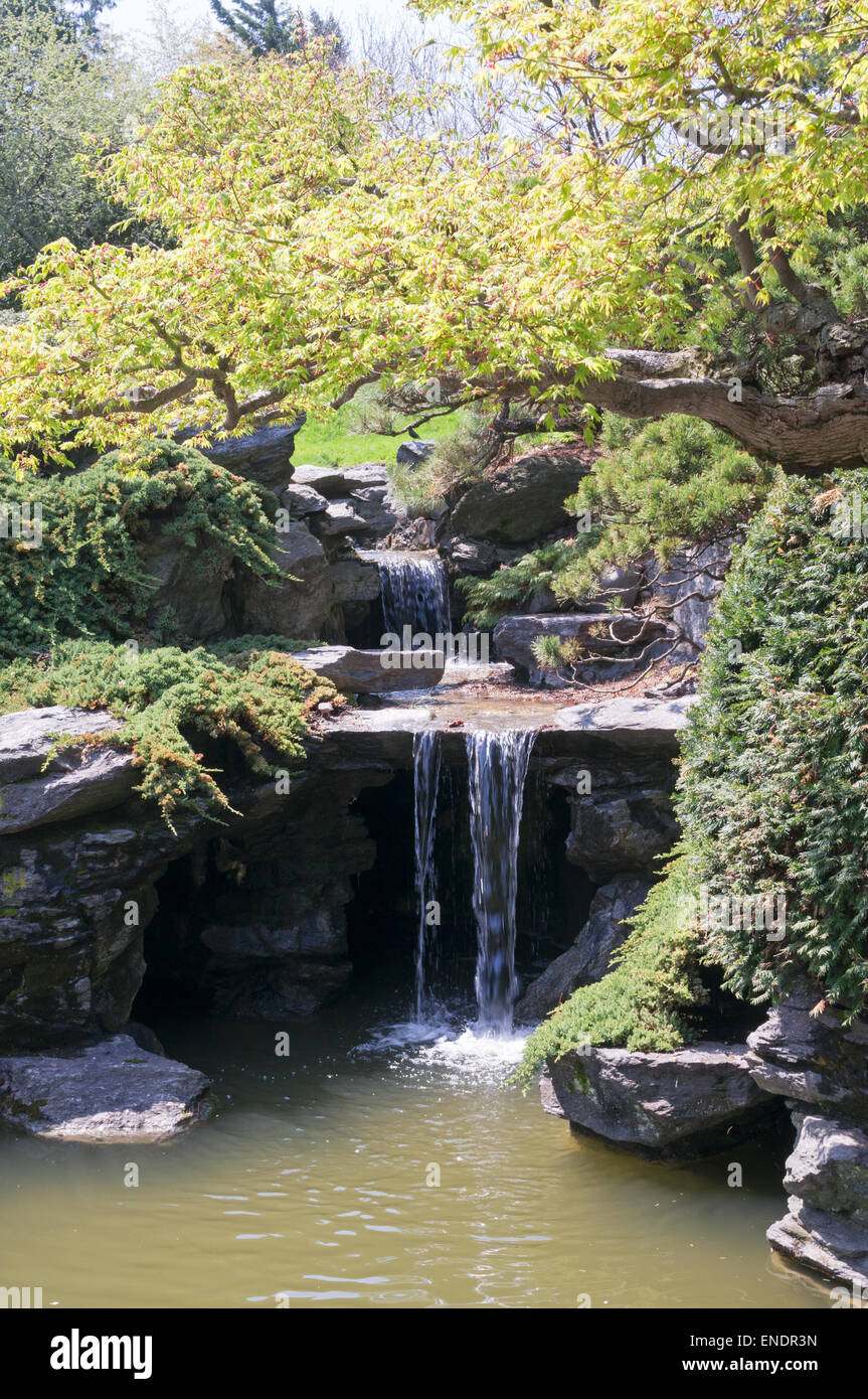 Waterfall in Brooklyn Botanic Garden, NYC, USA Stock Photo - Alamy