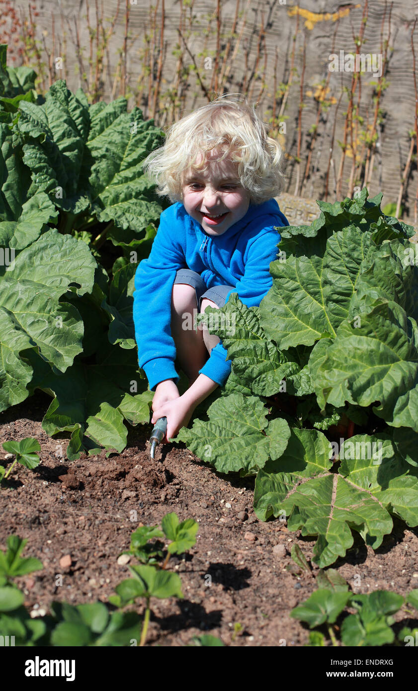 Boy digging garden hi-res stock photography and images - Alamy