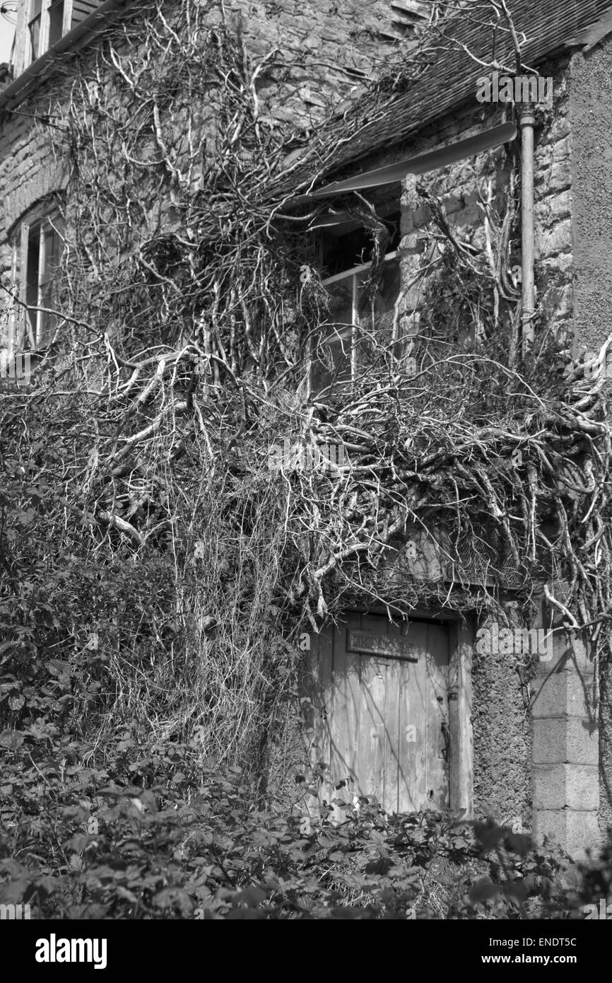 Dursley a small market town in the Southern Cotswolds, Gloucestershire ...
