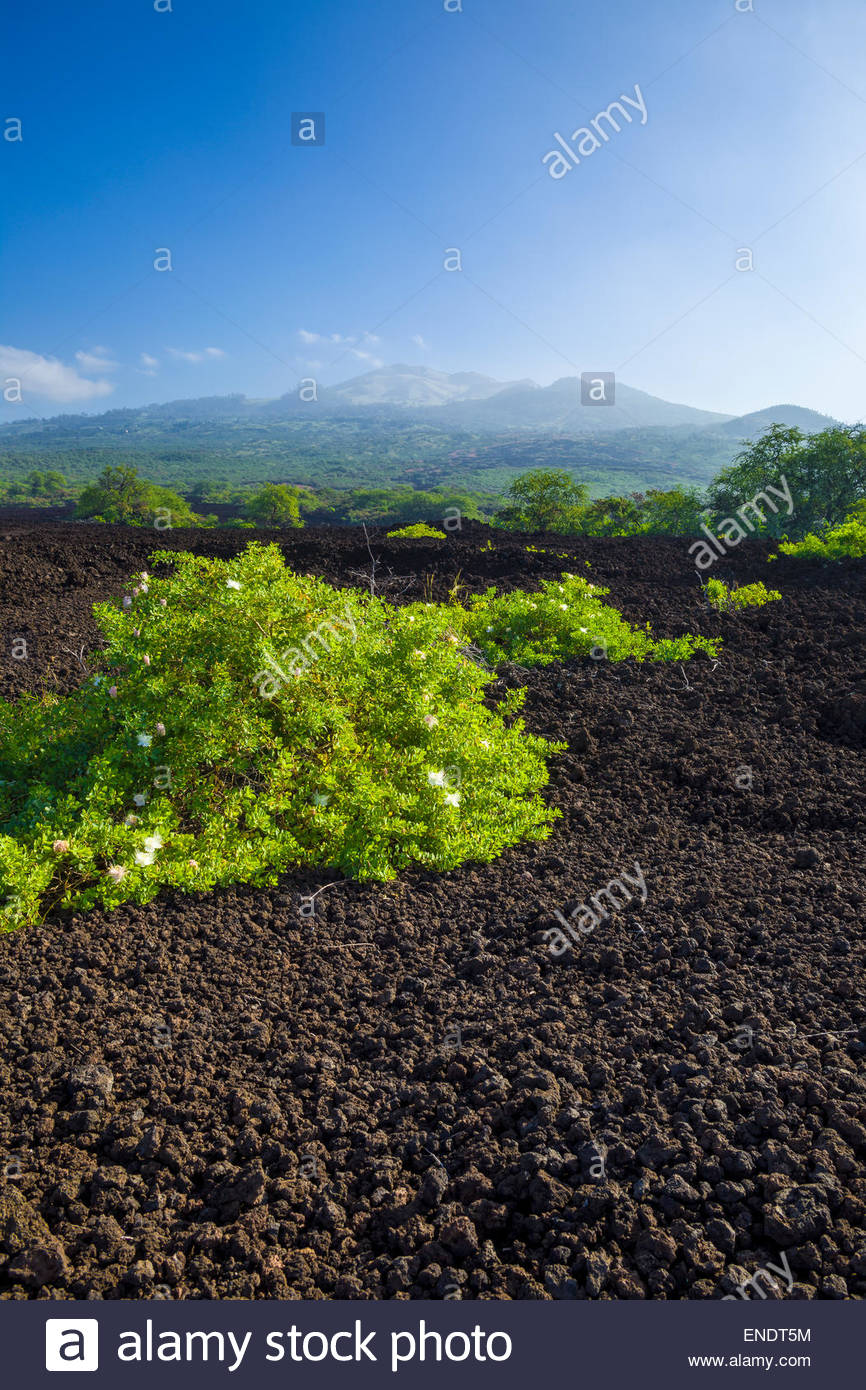 Old Lava High Resolution Stock Photography and Images - Alamy