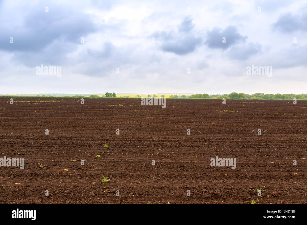 Tillage rain spring hi-res stock photography and images - Alamy