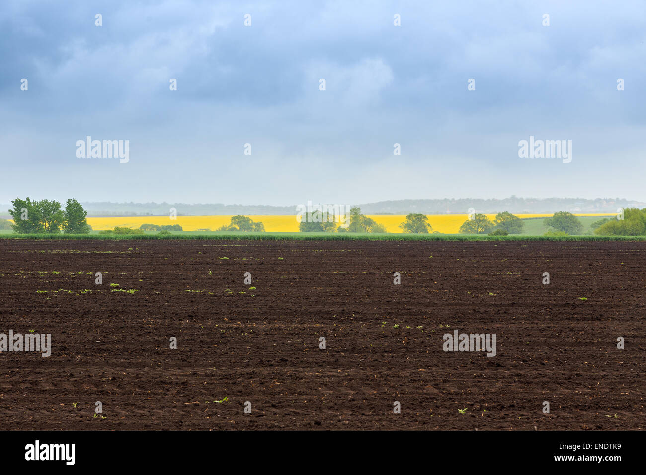 Spring farm soil rain hi-res stock photography and images - Alamy
