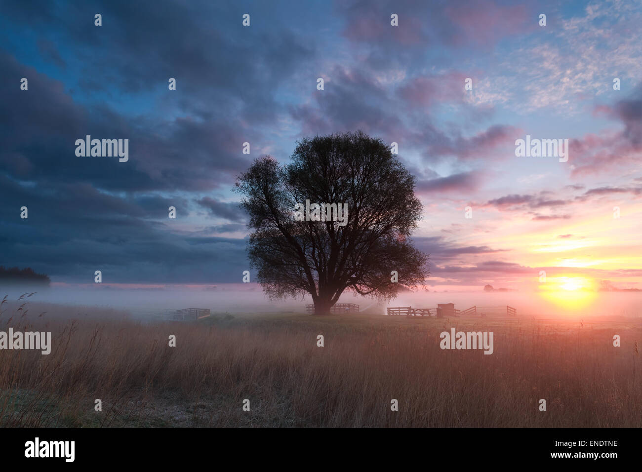 Early spring sunrise in farmland hi-res stock photography and images ...