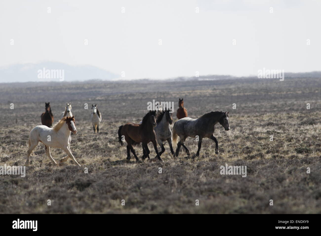 Red desert wyoming hi-res stock photography and images - Alamy