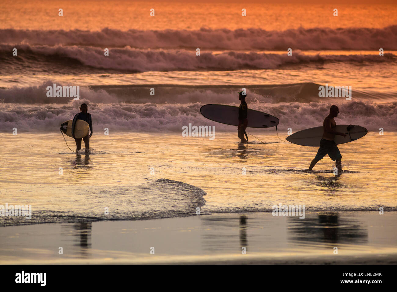 Surfers at sunset time Stock Photo - Alamy