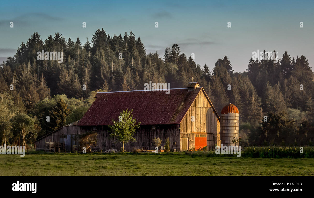 Quiet Barn on a Farm Stock Photo - Alamy
