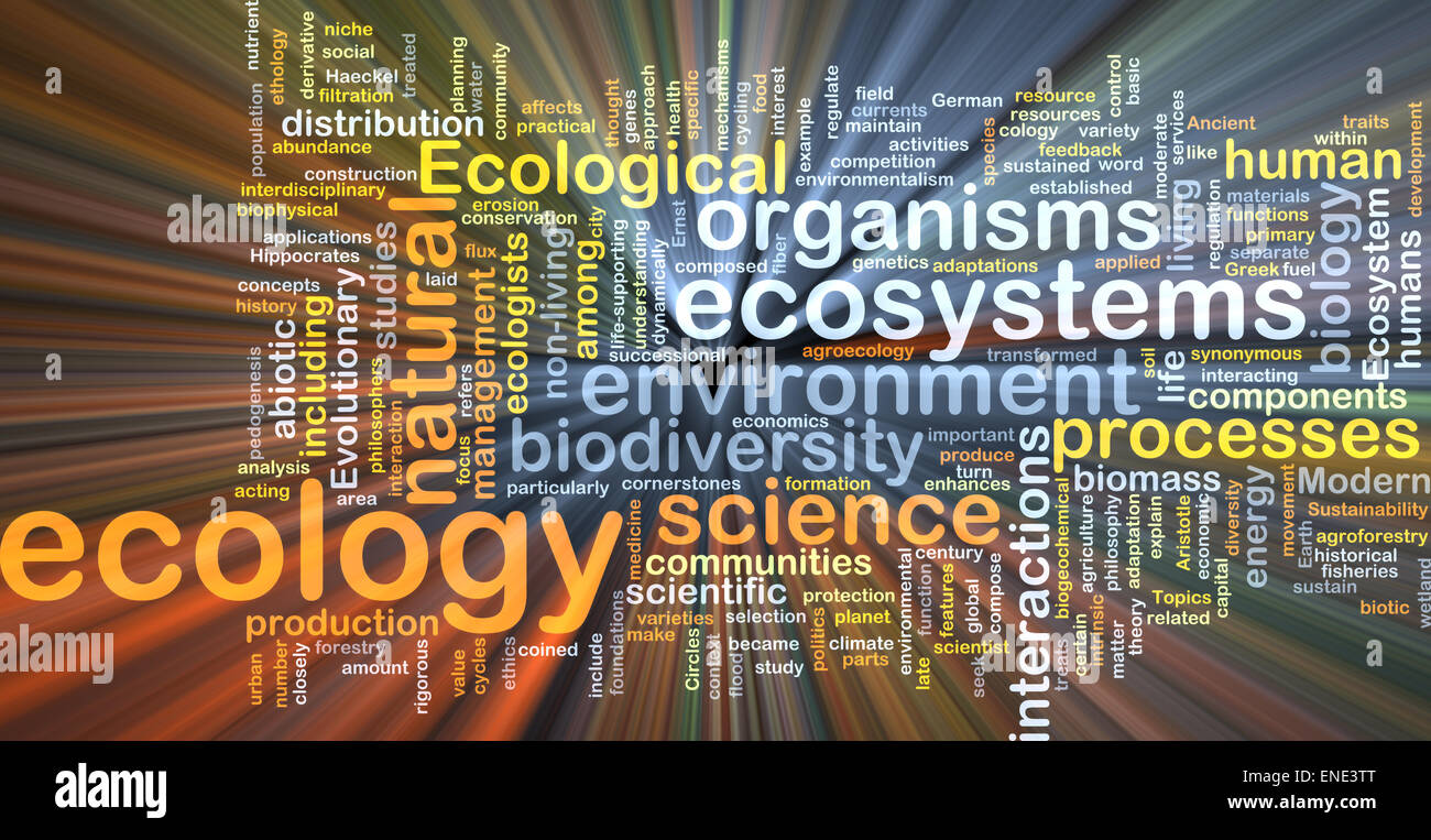 Background text pattern concept wordcloud illustration of ecology ...