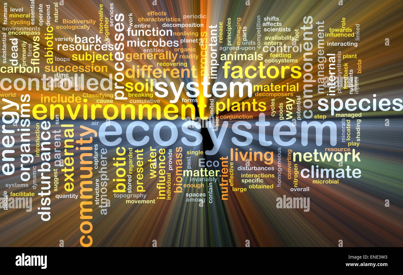 Components of ecosystem hi-res stock photography and images - Alamy