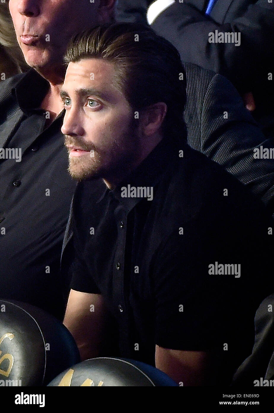 Gyllenhaa hi-res stock photography and images - Alamy