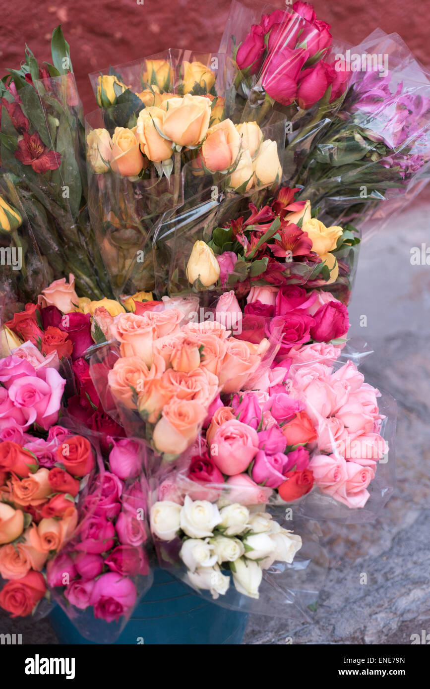Colorful roses for sale in the streets of San Miguel de Allende in ...