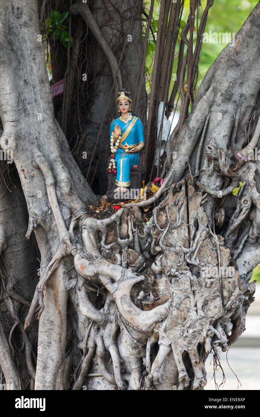 Religious tree hi-res stock photography and images - Alamy