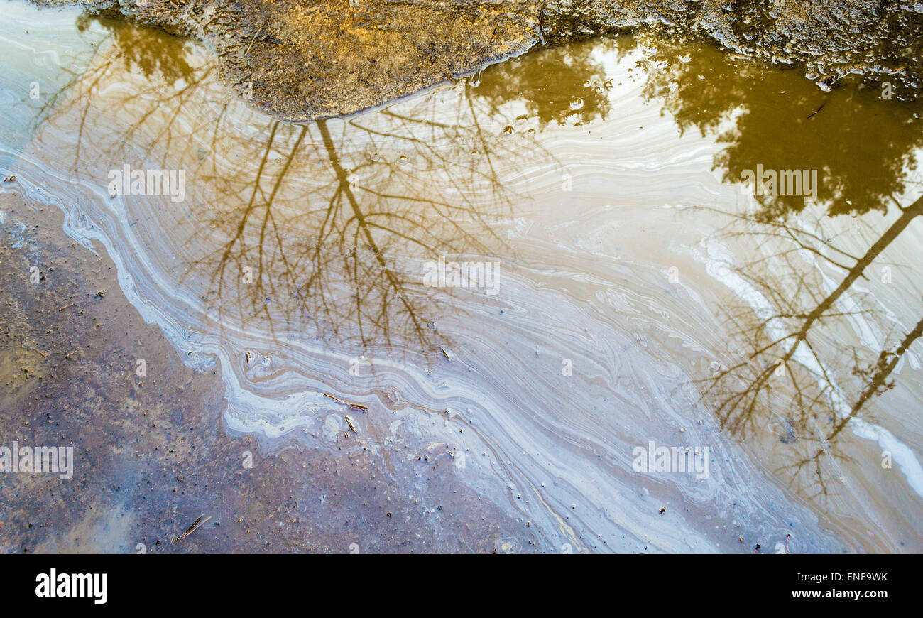Pool of water captures the colors of an oil spill with reflected upside ...
