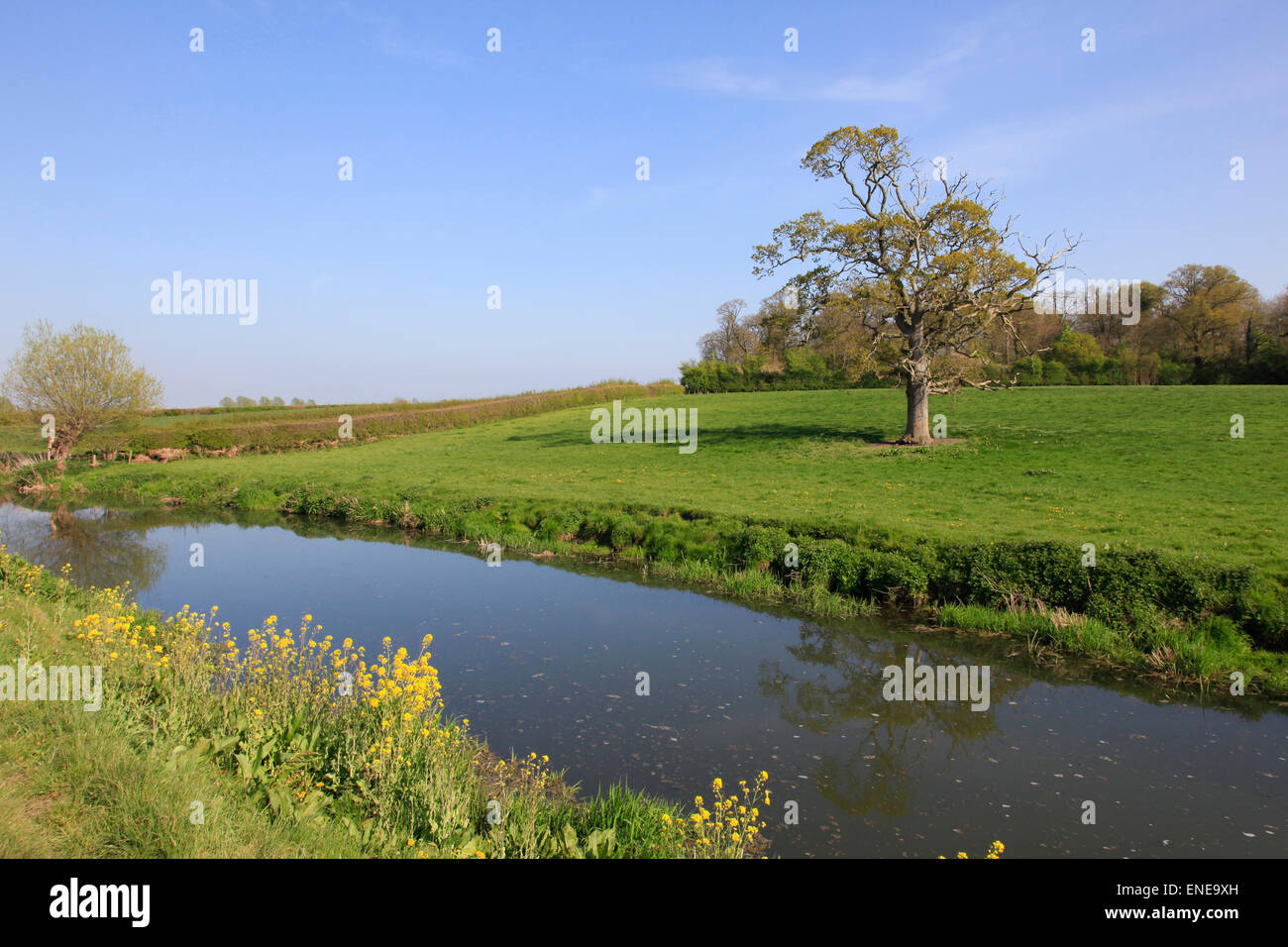 Farmland and river England Stock Photo - Alamy