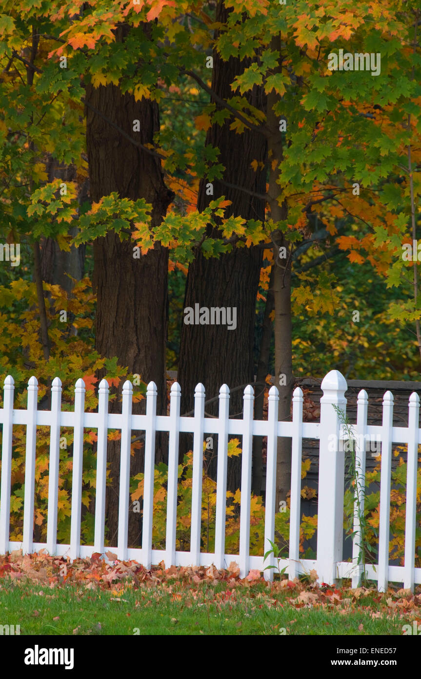 Woods of windsor hi-res stock photography and images - Alamy