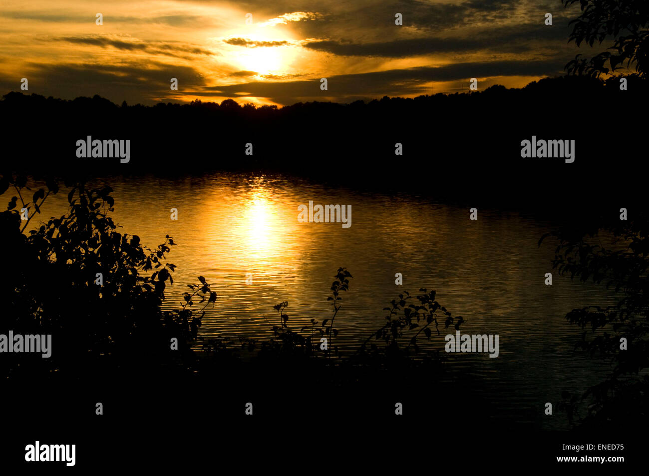 Batterson Park Pond High Resolution Stock Photography and Images - Alamy