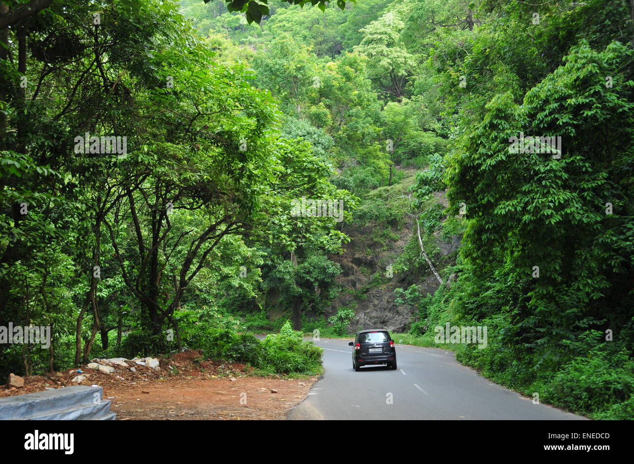 Going to forest hi-res stock photography and images - Alamy