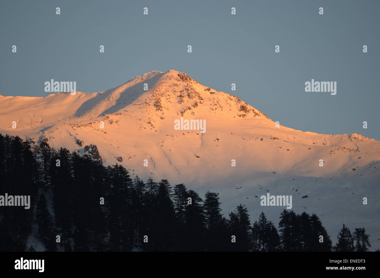 Manali india hi-res stock photography and images - Alamy