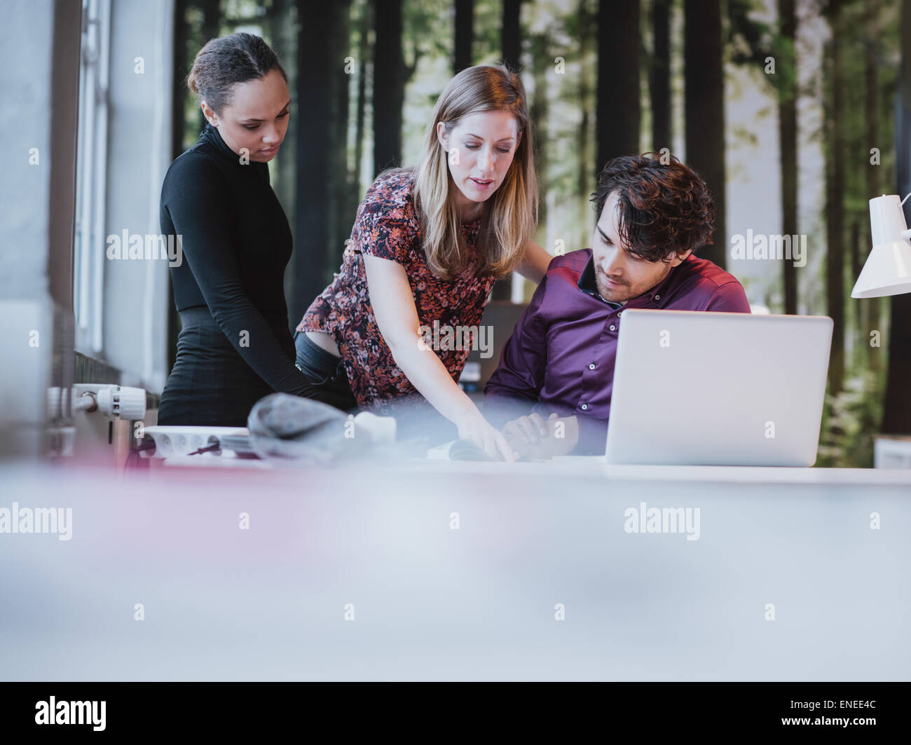 Young female executive presenting her ideas to colleagues in a meeting ...