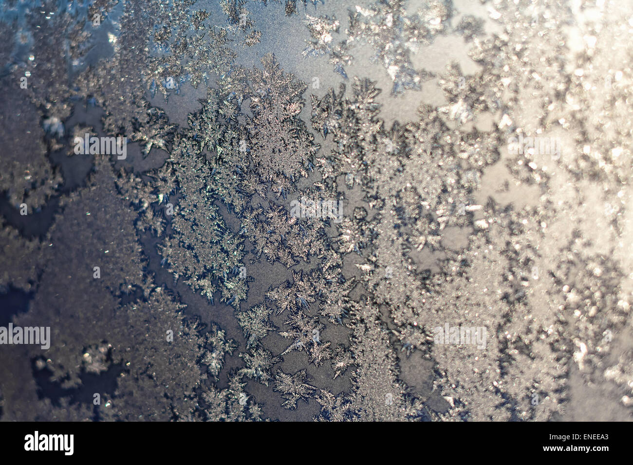 Frost magic hi-res stock photography and images - Alamy