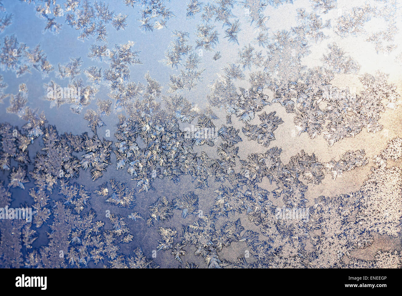 Frost magic hi-res stock photography and images - Alamy