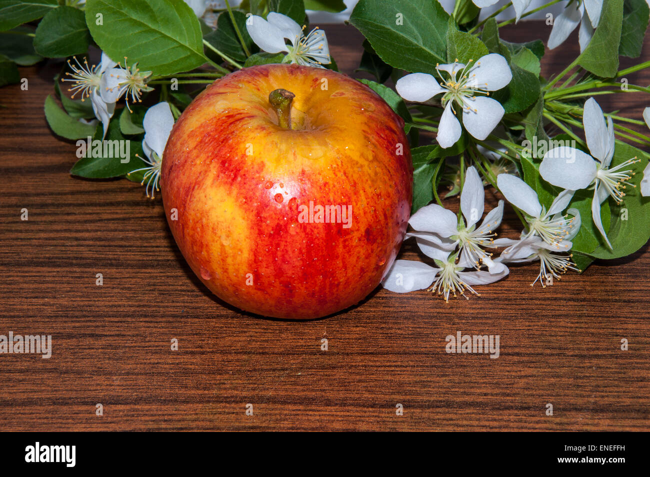 Apple fruit of the Apple tree, which is eaten fresh, serves as a raw ...