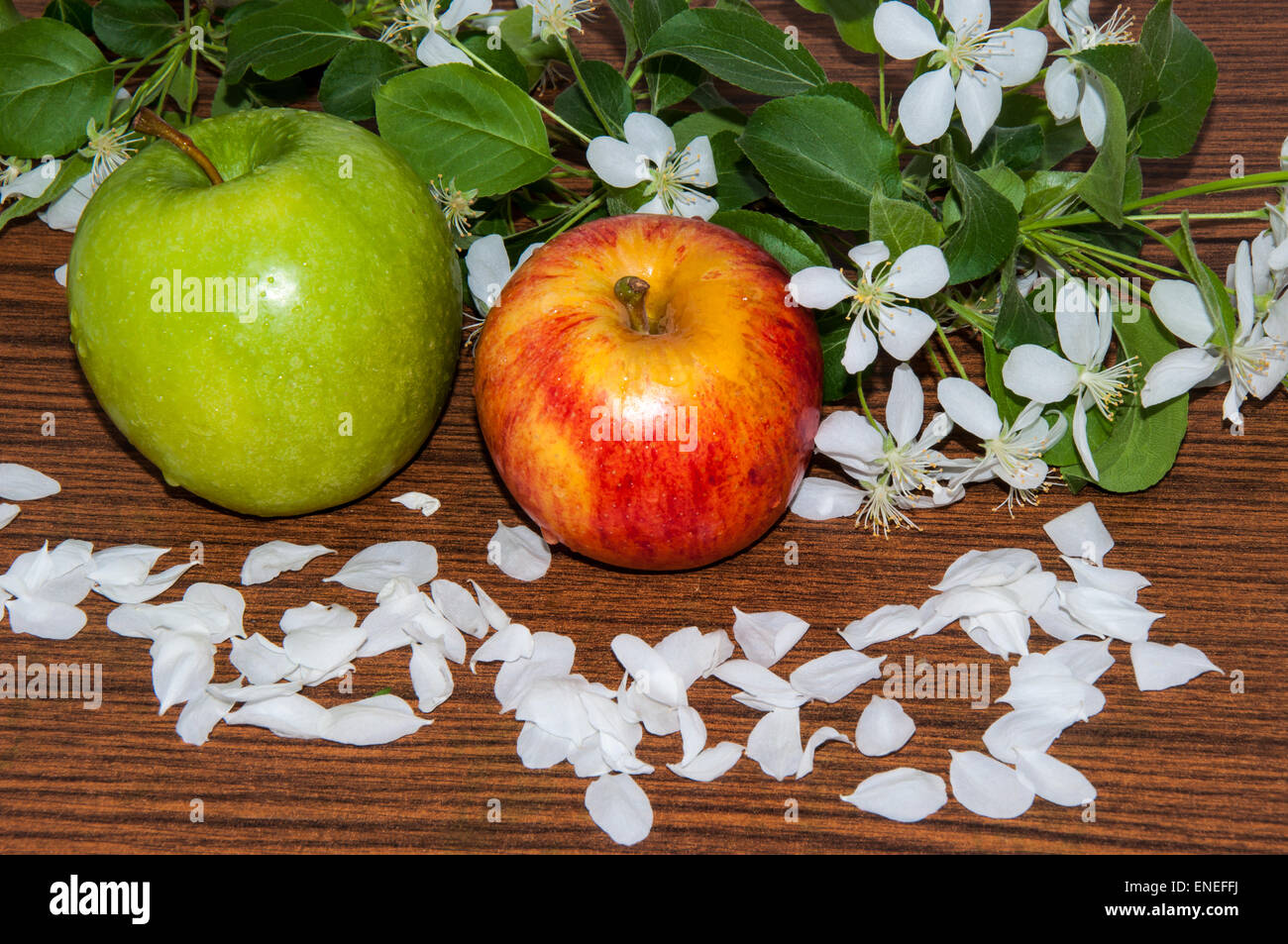 Apple fruit of the Apple tree, which is eaten fresh, serves as a raw ...