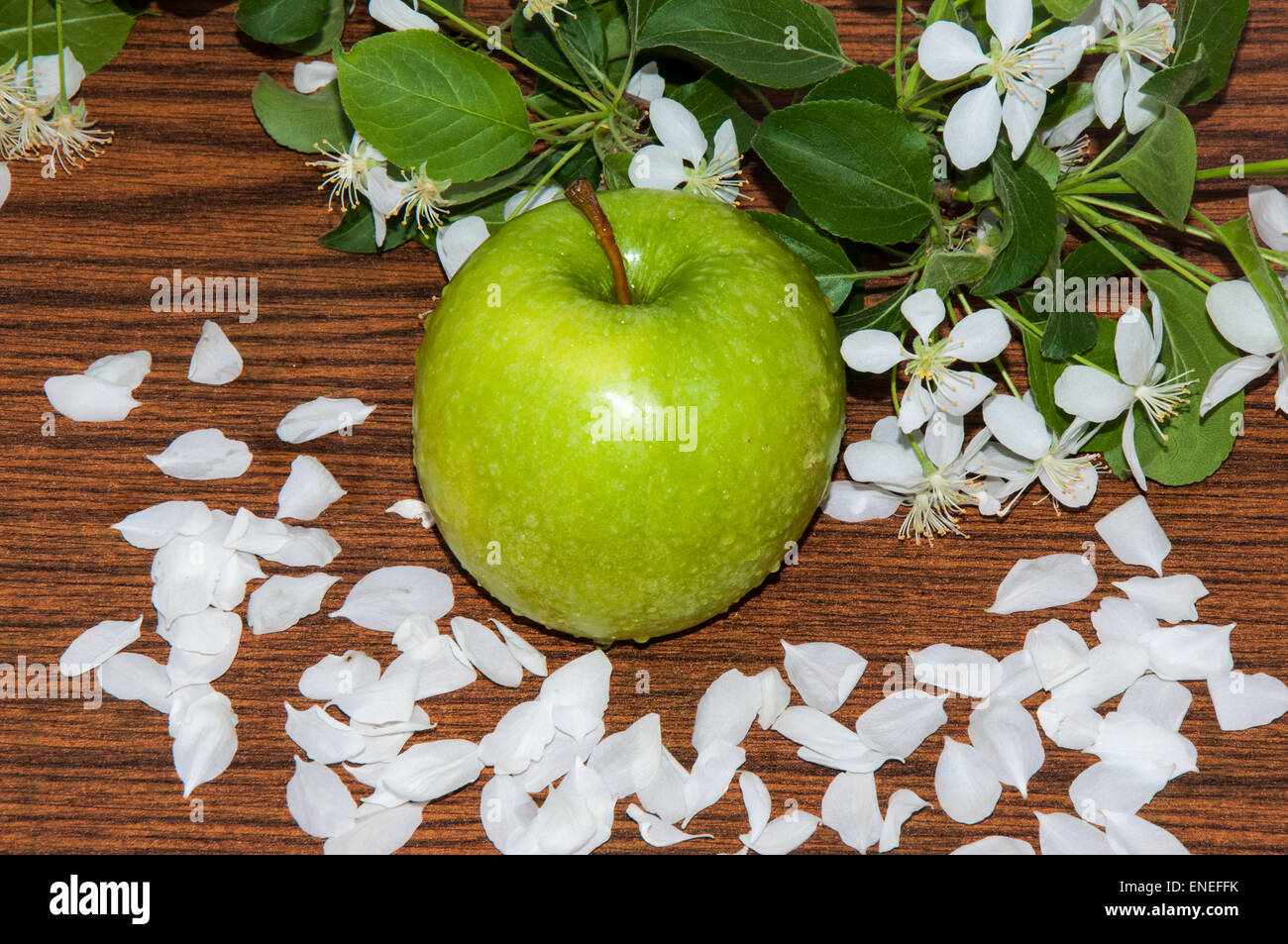 Apple fruit of the Apple tree, which is eaten fresh, serves as a raw ...