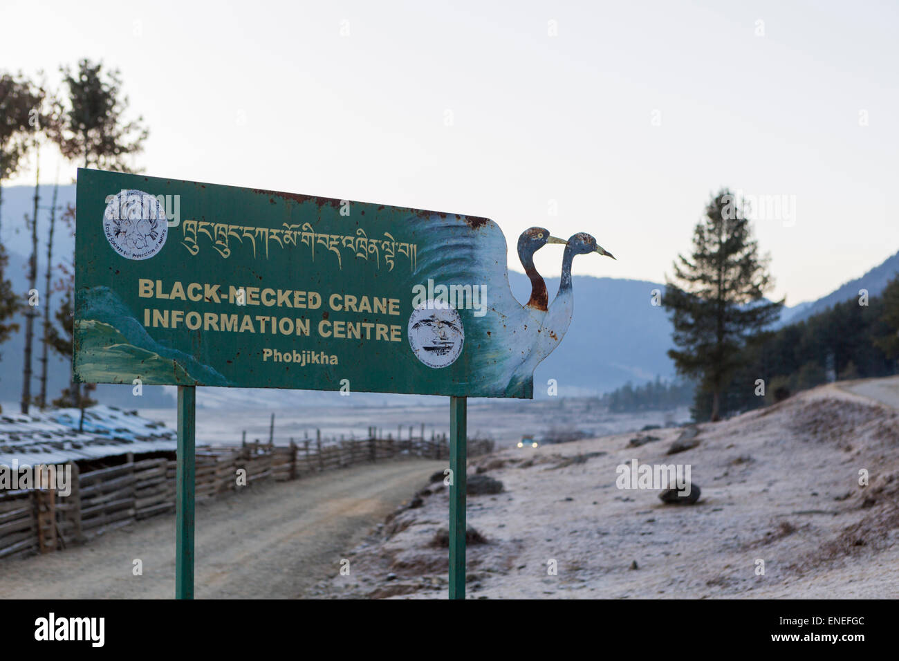 Black-necked crane center, Phobjikha Valley, Western Bhutan, Asia Stock ...