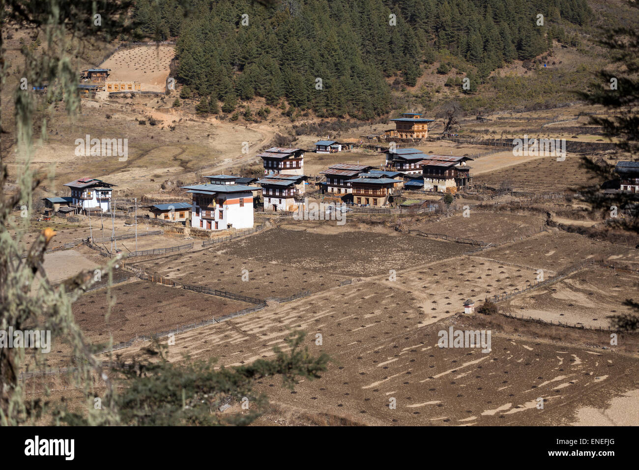 Farmland in the Phobjikha Valley, Western Bhutan, Asia Stock Photo - Alamy