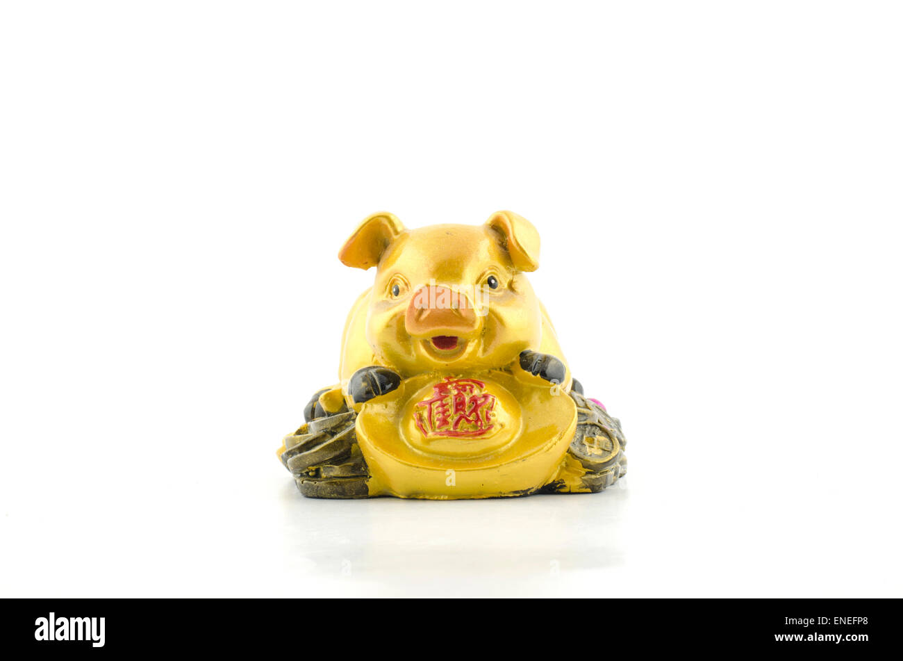 gold pig on coin isolated with white background Stock Photo - Alamy
