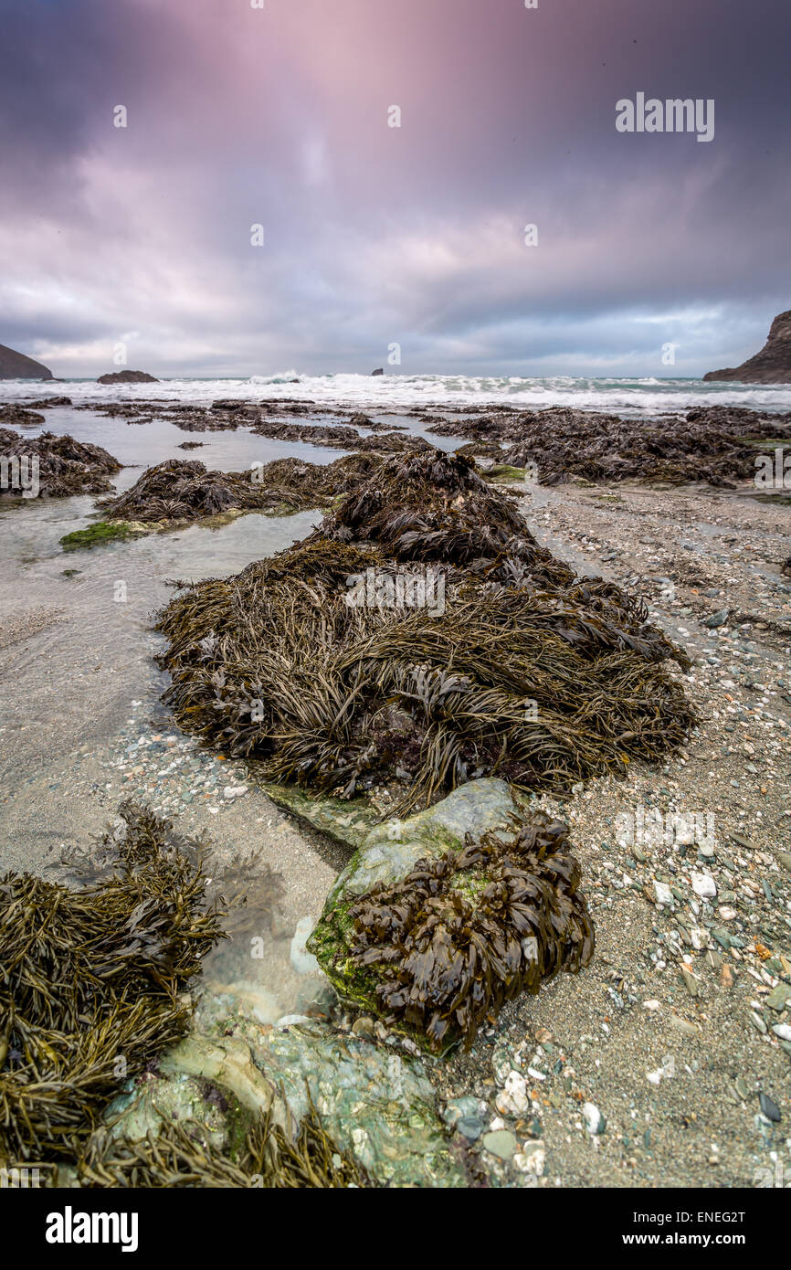 Looking towards Trevellas porth cornwall england uk Stock Photo - Alamy