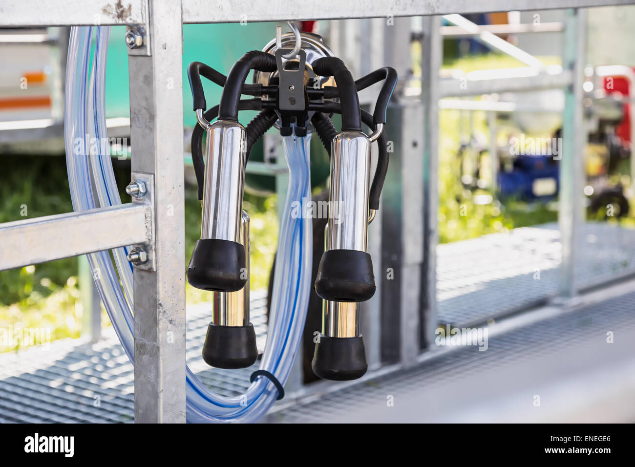 Automatic cow milking machine hi-res stock photography and images - Alamy