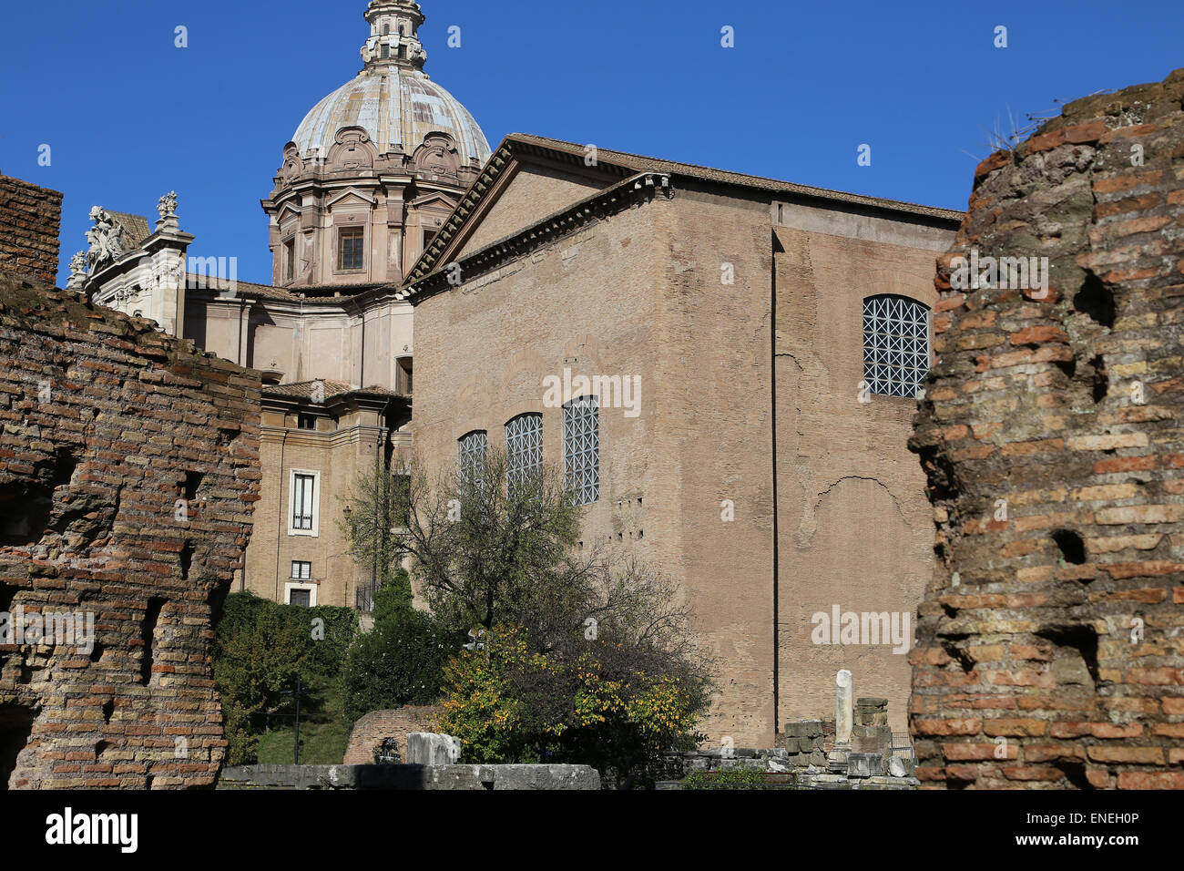 Ancient Roman Senate House