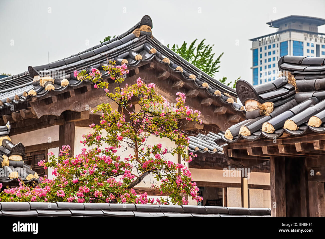 Korean Modern Architecture