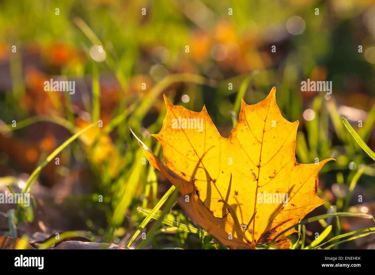 Faded shine hi-res stock photography and images - Alamy