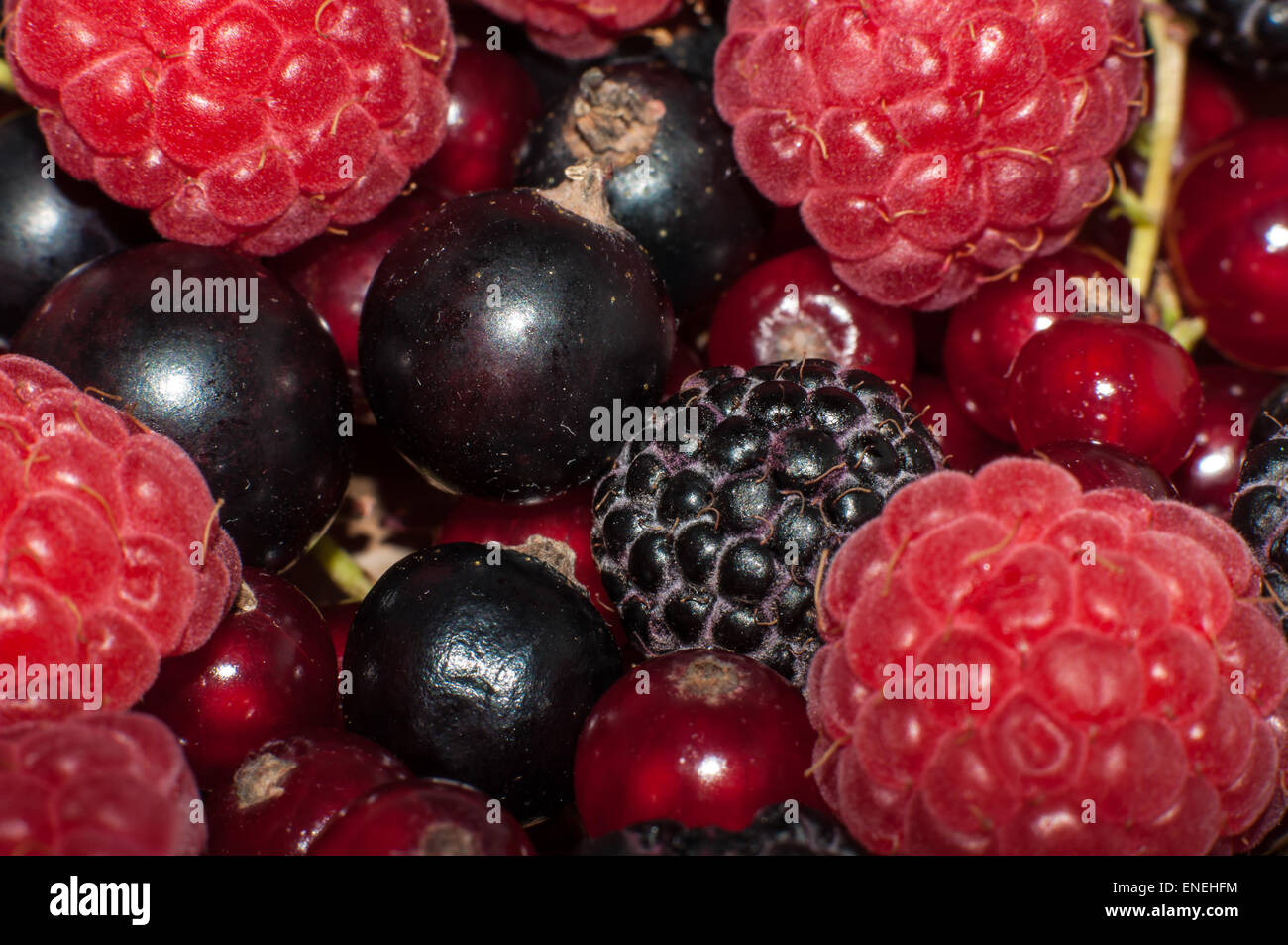 Assorted from ripe fresh juicy summer berries Stock Photo - Alamy