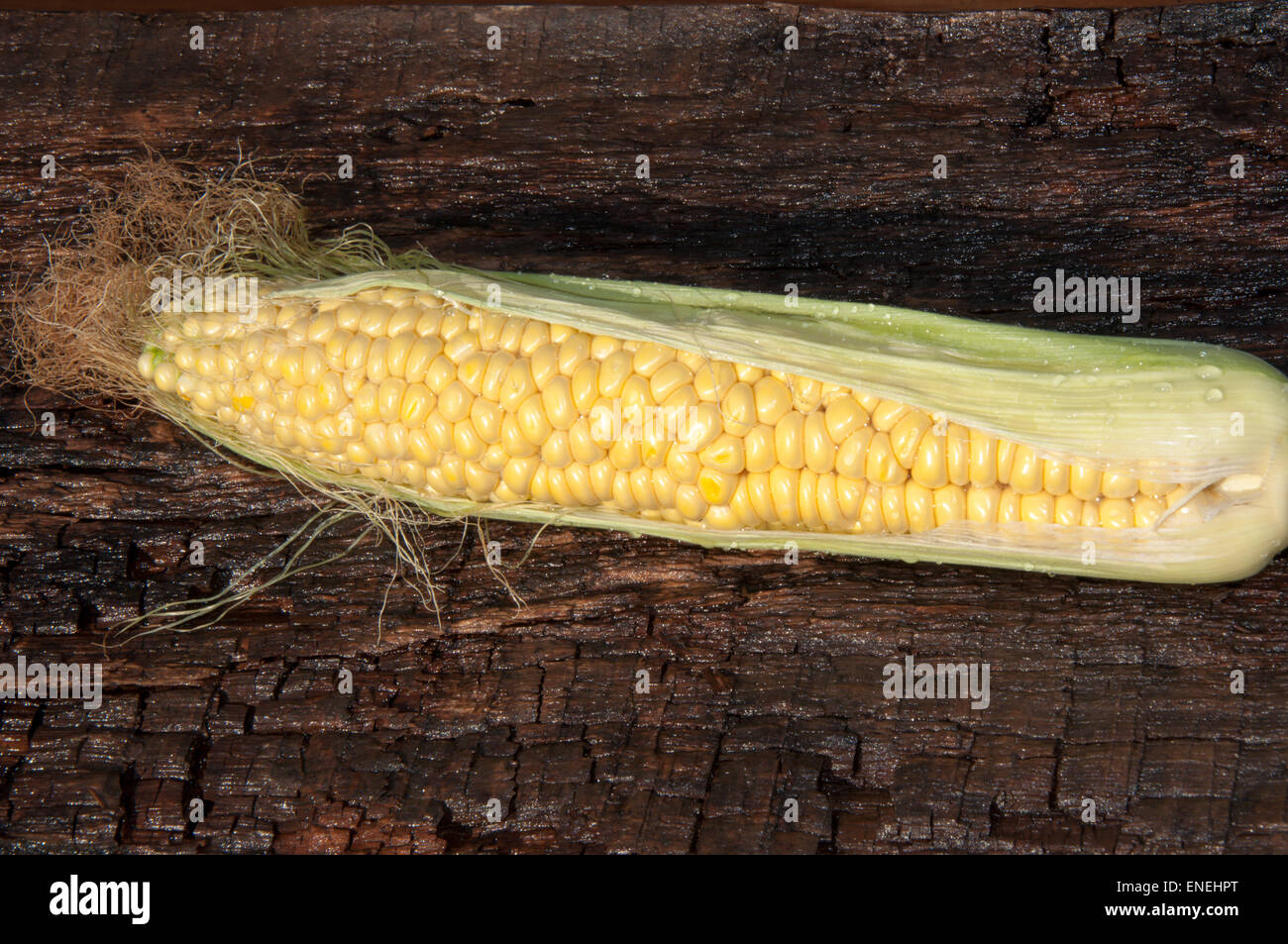 Corn sugar or maize annual grassy plant, the only cultural ...