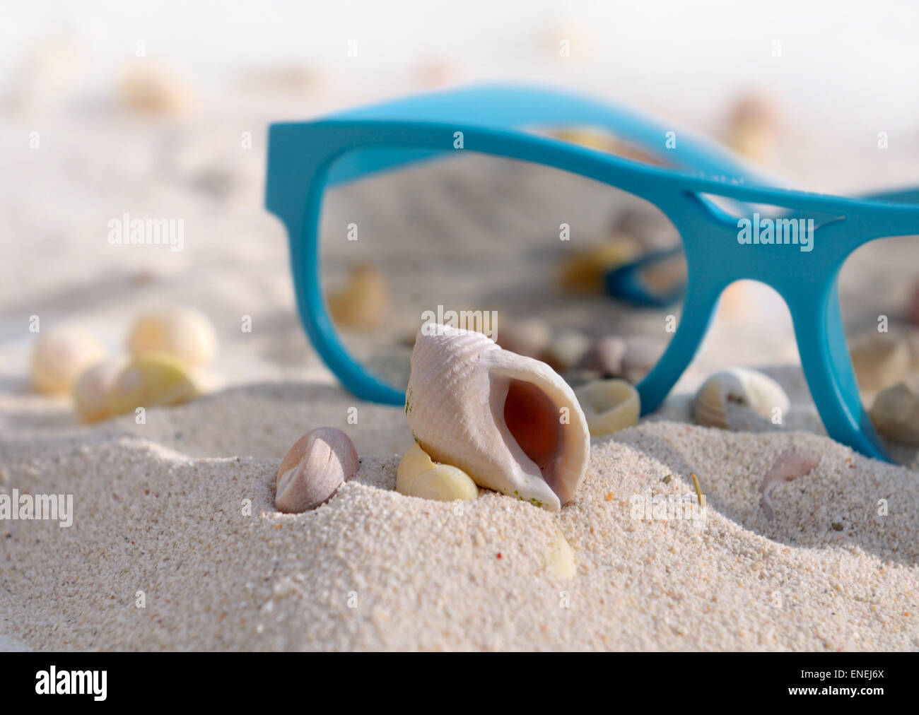 shells in front blue sun glasses in the sand Stock Photo - Alamy