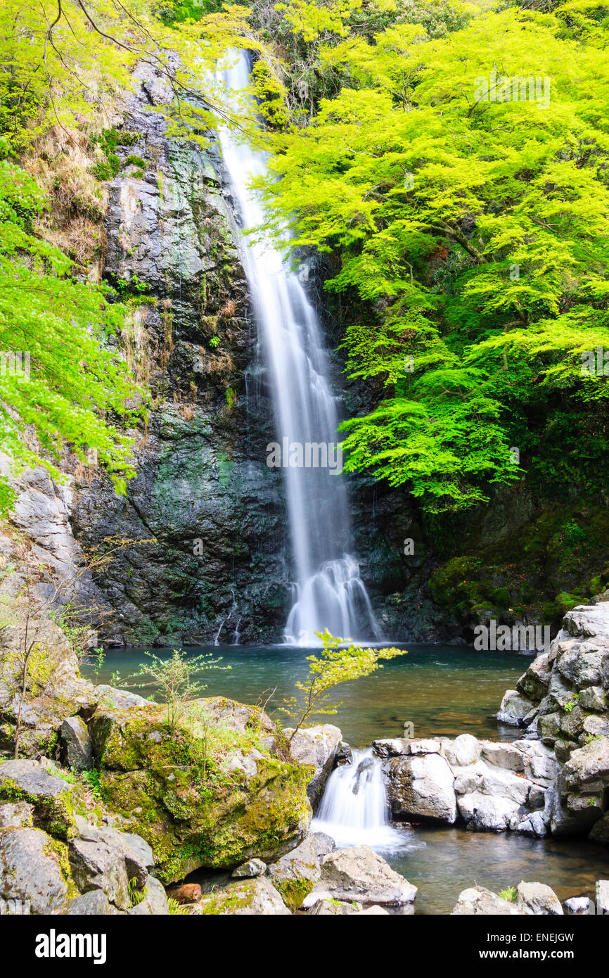 Minoo Park on the outskirts of Osaka. The famous tourist attraction ...