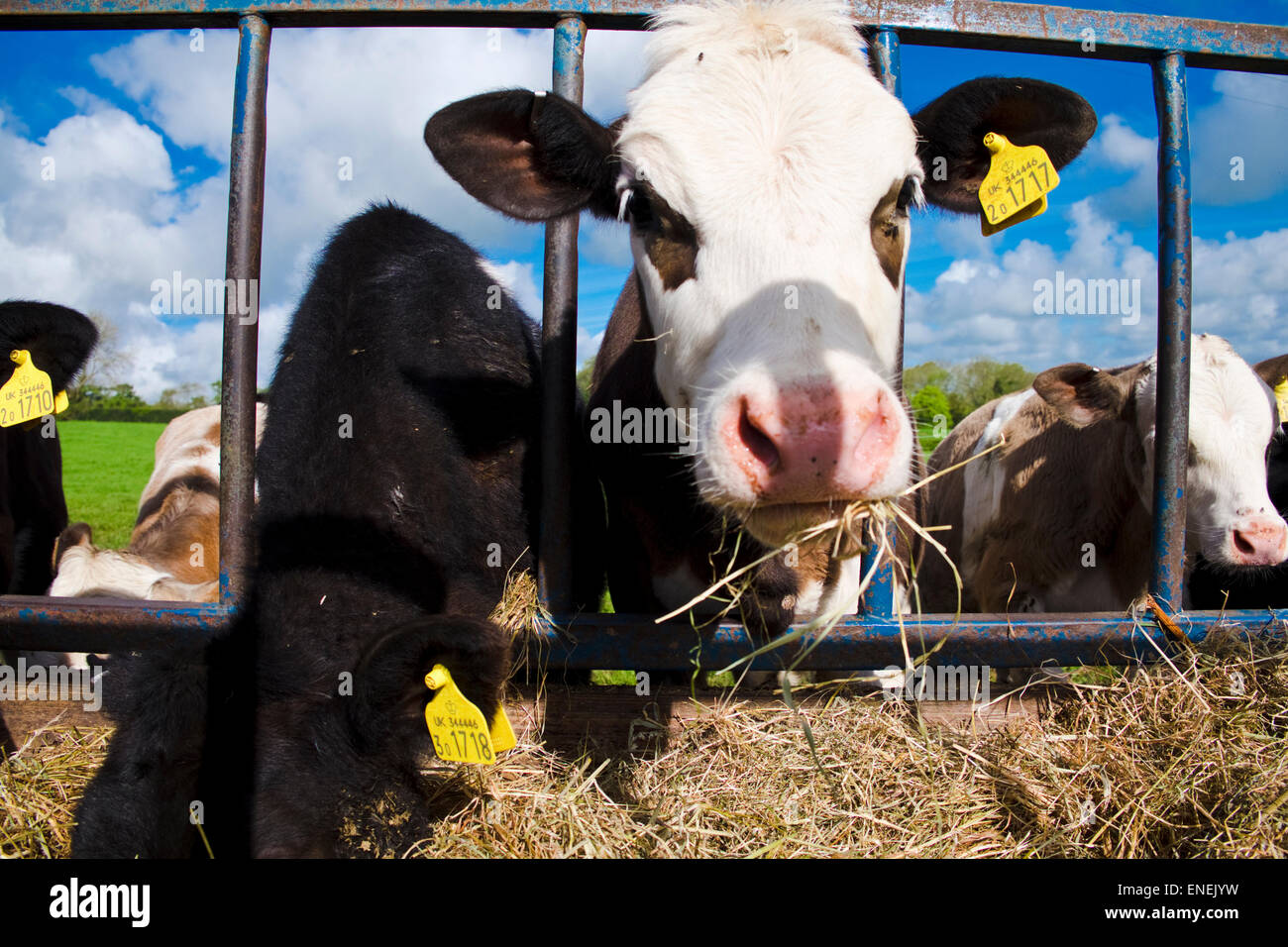 East harptree hi-res stock photography and images - Alamy