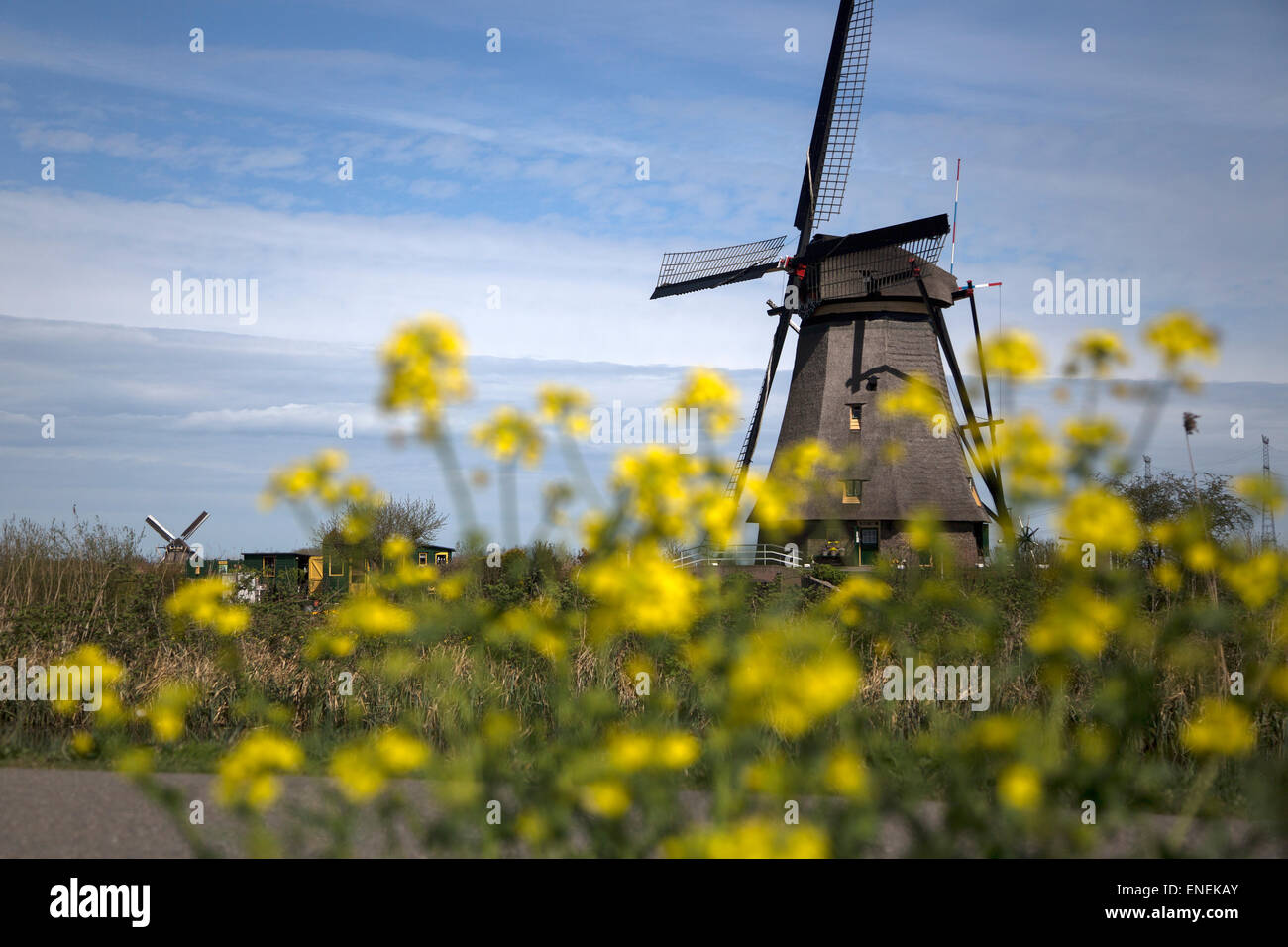 Yellow windmill hi-res stock photography and images - Alamy