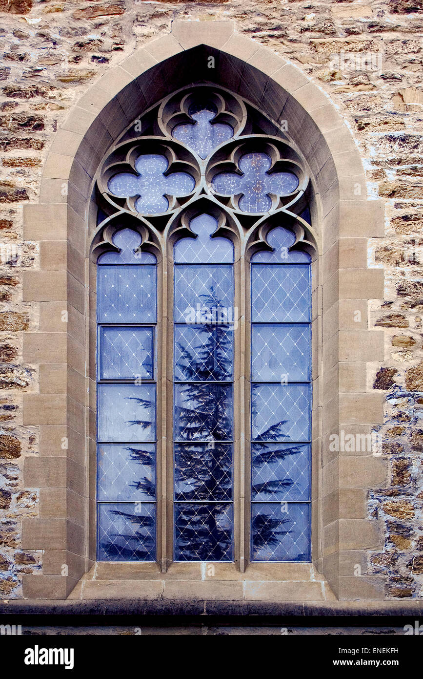 the colored rose window and a tree in the church in lichtenstein vaduz ...