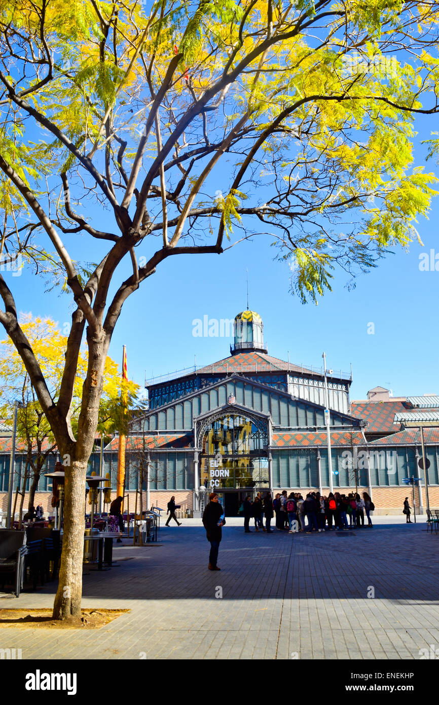 El Born Cultural Centre. Mercat del Born, Barcelona, Catalonia, Spain ...