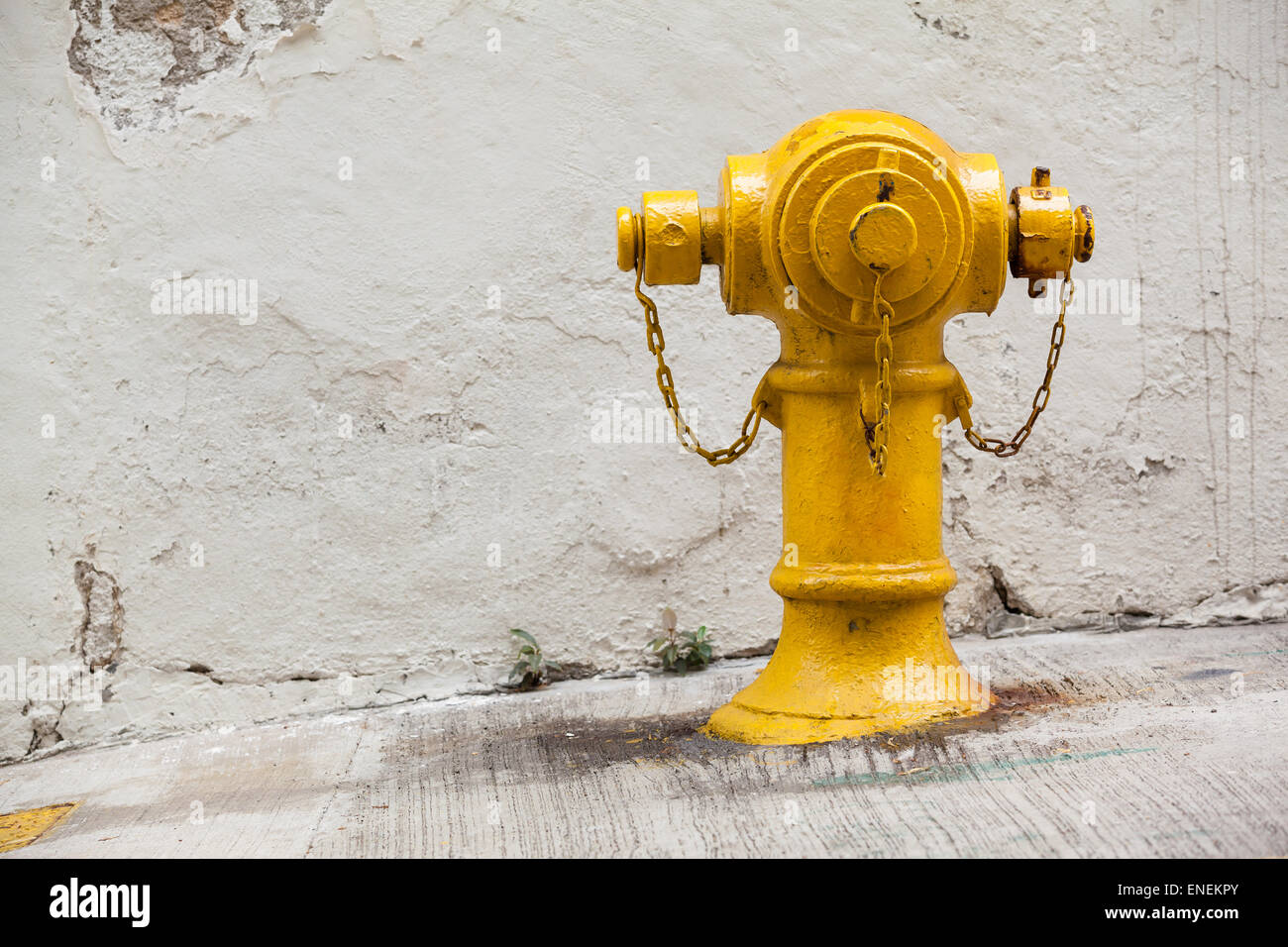Yellow fire hydrant sign hi-res stock photography and images - Alamy