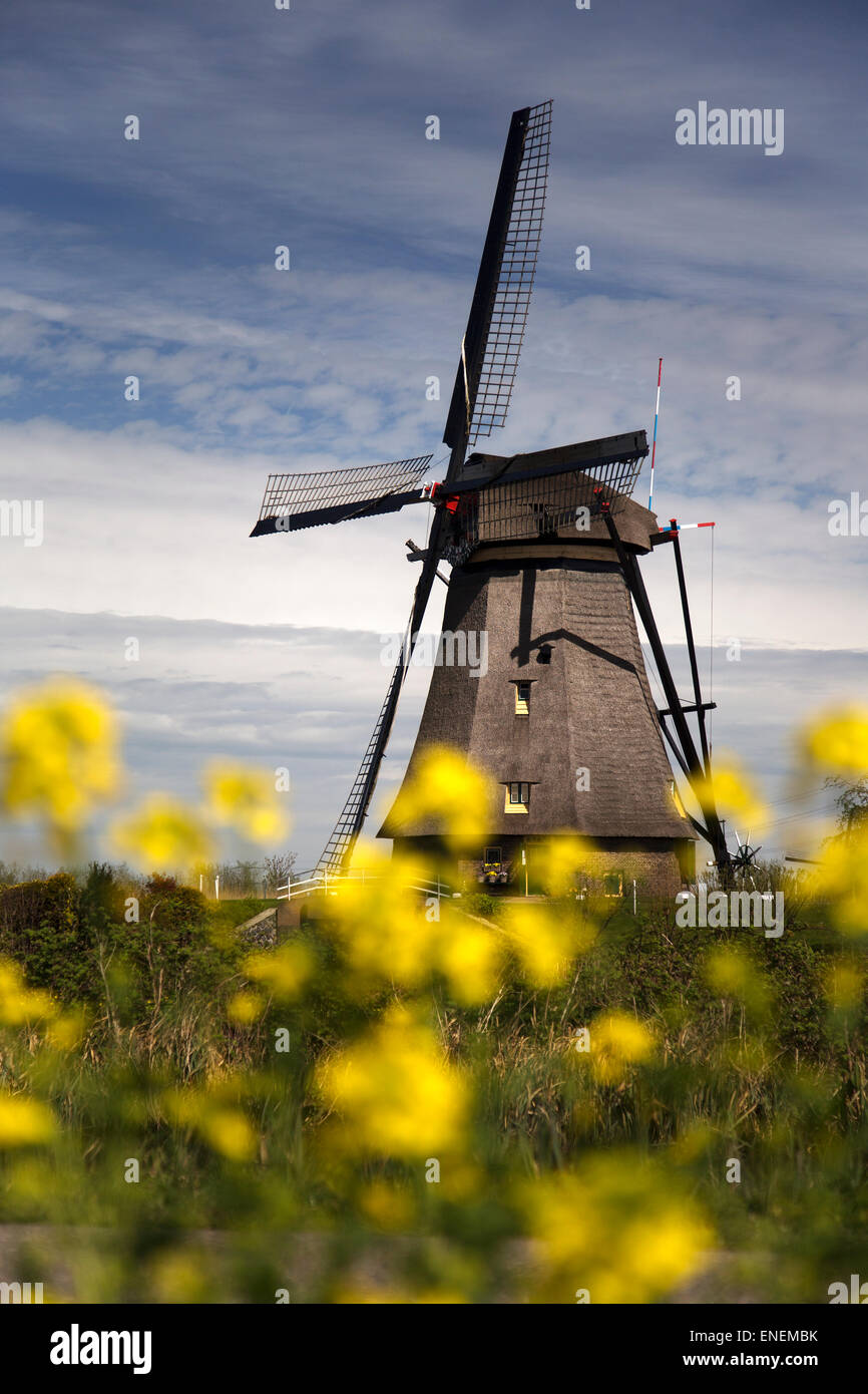 Yellow windmill hi-res stock photography and images - Alamy